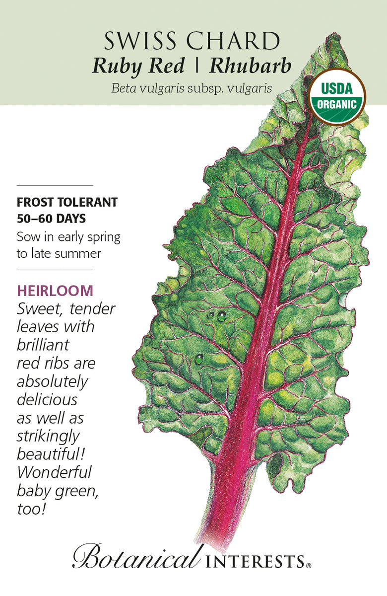 Swiss Chard - Ruby Red Organic – Vern Goers Greenhouse