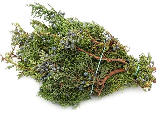 Juniper Blue Berried Bunch – Vern Goers Greenhouse